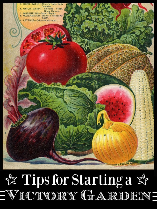 Tips for Starting a Modern-Day Victory Garden - My Homemade Roots
