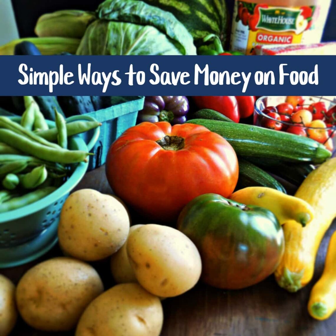 Simple Ways to Save Money on Food - My Homemade Roots